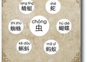 The Six Types of Chinese Characters | Mandarin Zone